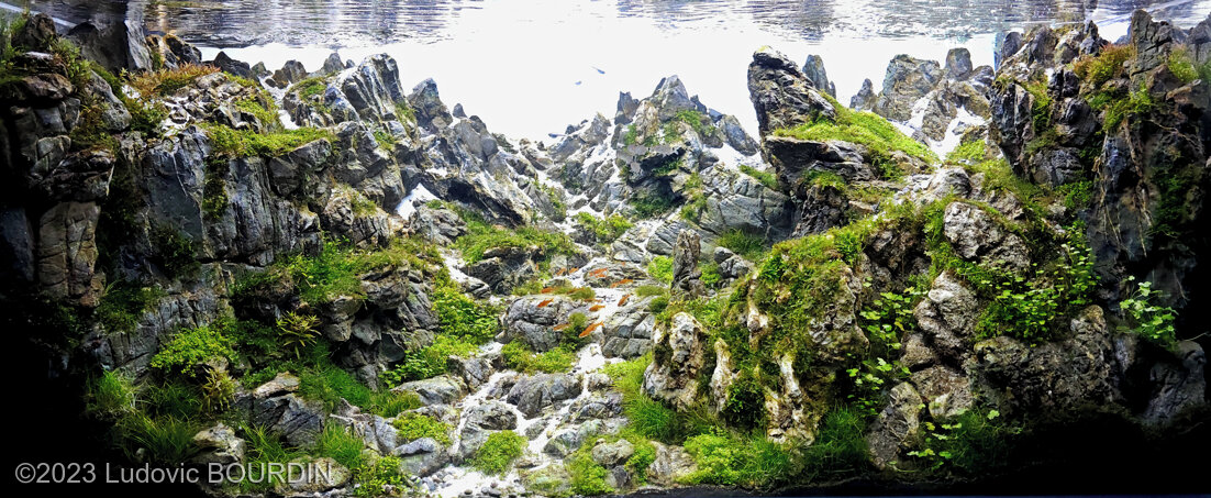 AGA 2023 Aquascaping Contest: #179
