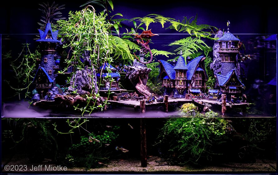 AGA 2023 Aquascaping Contest: #681